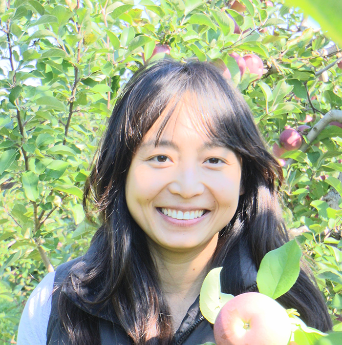 Willcox Research Group